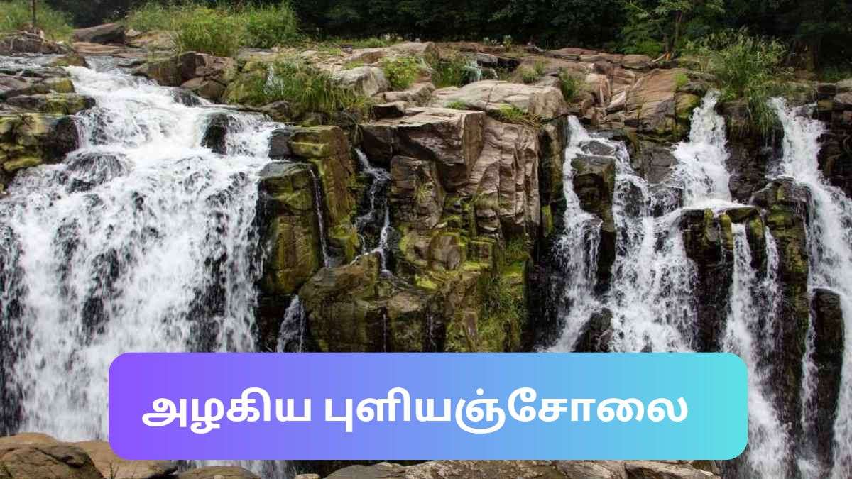 திருச்சிக்கு பக்கத்தில இப்படியொரு அழகான இடமா – ஜில்லுன்னு அருவி ...