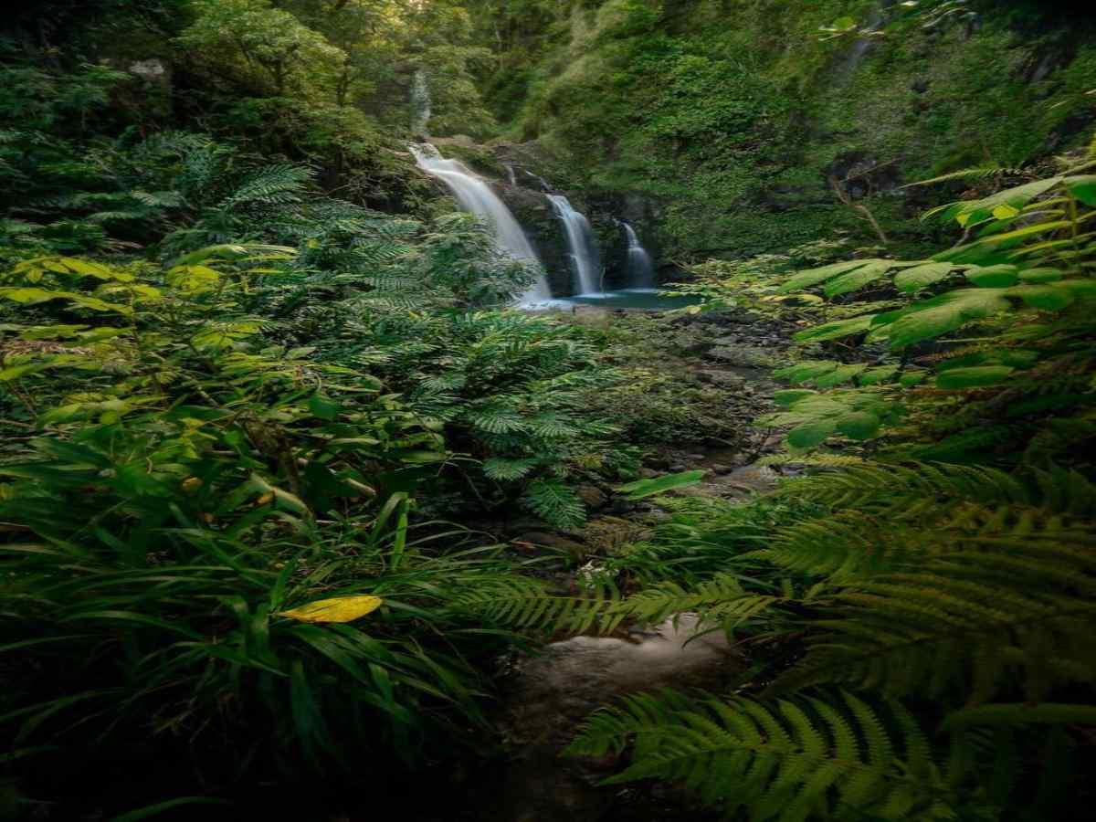 வெறும் ரூ.600 இருந்தா போதும் – சென்னைக்கு பக்கத்தில இருக்கிற ...