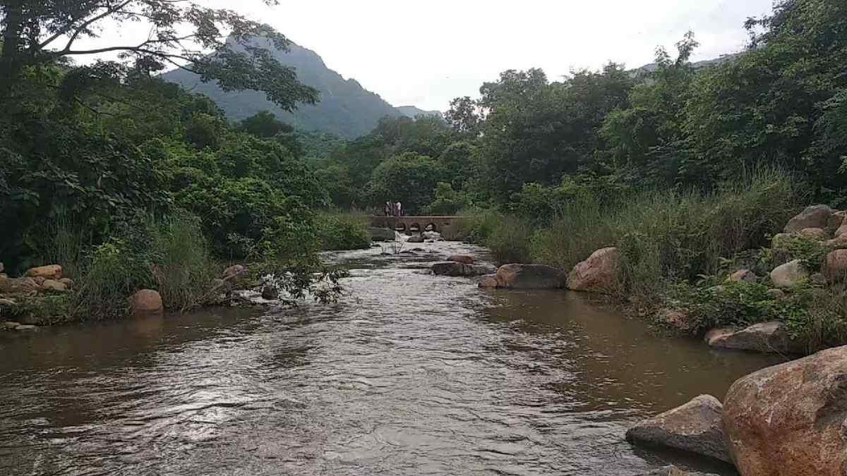 திருச்சிக்கு பக்கத்தில இப்படியொரு அழகான இடமா – ஜில்லுன்னு அருவி ...