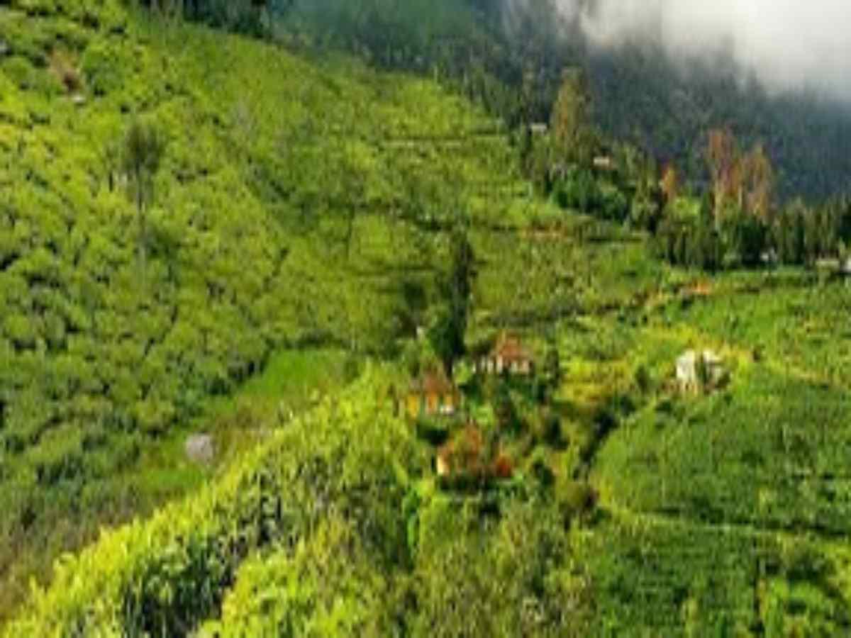 இனி ஊட்டி, கொடைக்கானலே வேண்டாம் – தமிழ்நாட்டின் இந்த மலைகளுக்கு ஒரு ...