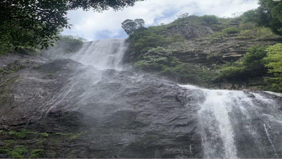 எப்படி செல்வது... 'ட்ரெக்'கிங் தொடக்கப் புள்ளி முதல் வன நுழைவு வரை ...